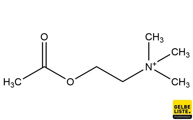 Acetylcholin - Anwendung, Wirkung, Nebenwirkungen | Gelbe Liste