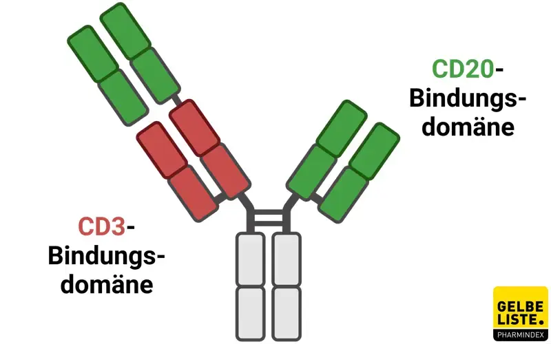 Glofitamab - Anwendung, Wirkung, Nebenwirkungen | Gelbe Liste