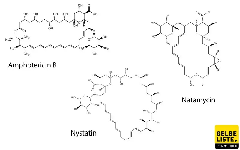 Polyen-Antimykotika | Gelbe Liste