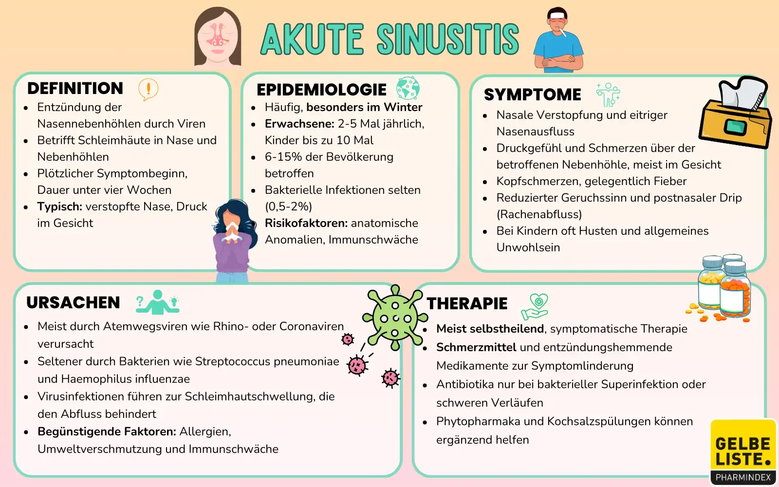 Akute Sinusitis Kompakt | Gelbe Liste
