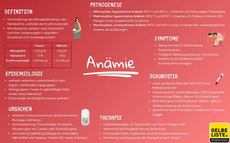 Anämie Kompakt | Gelbe Liste