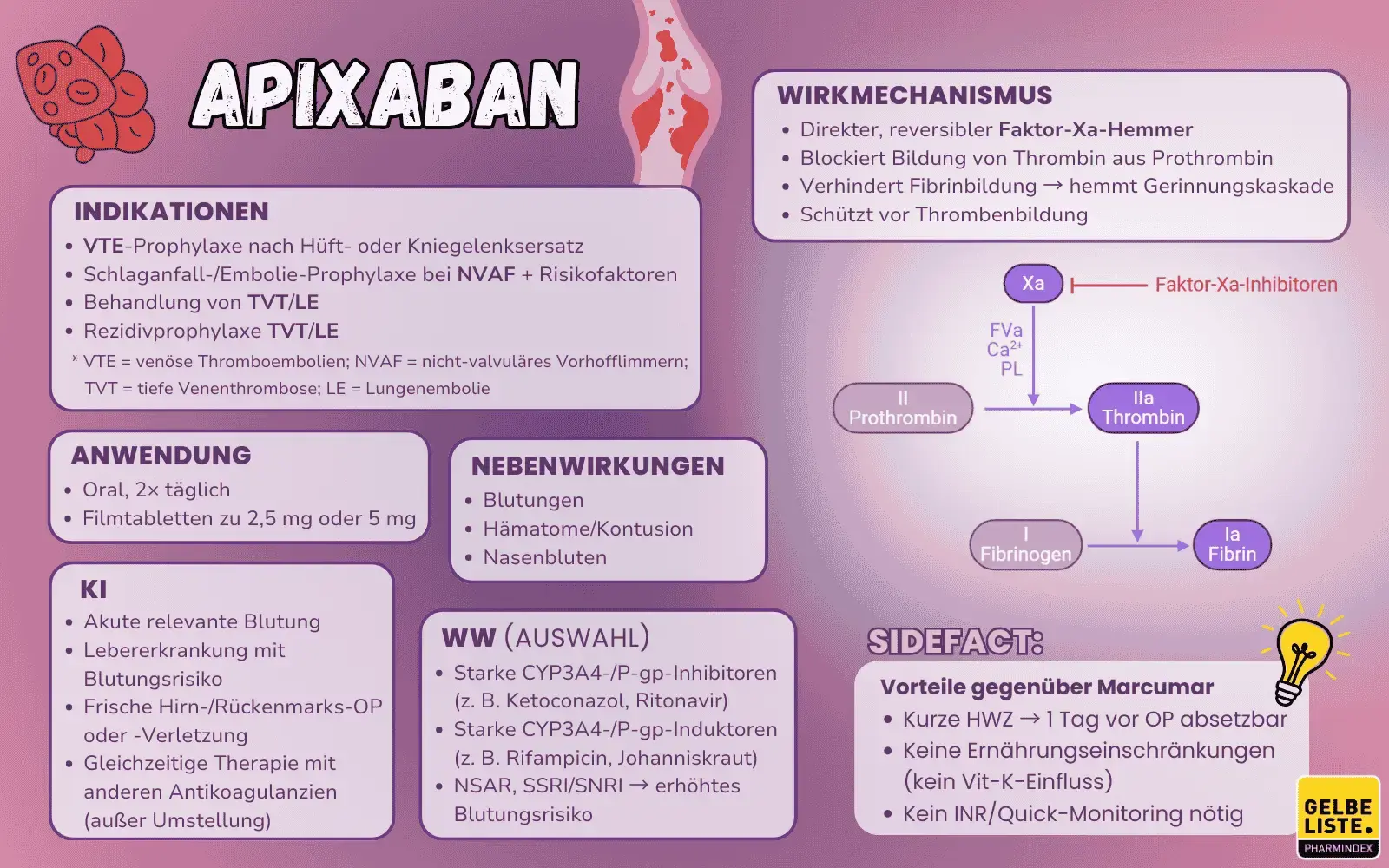 Apixaban Kompakt | Gelbe Liste