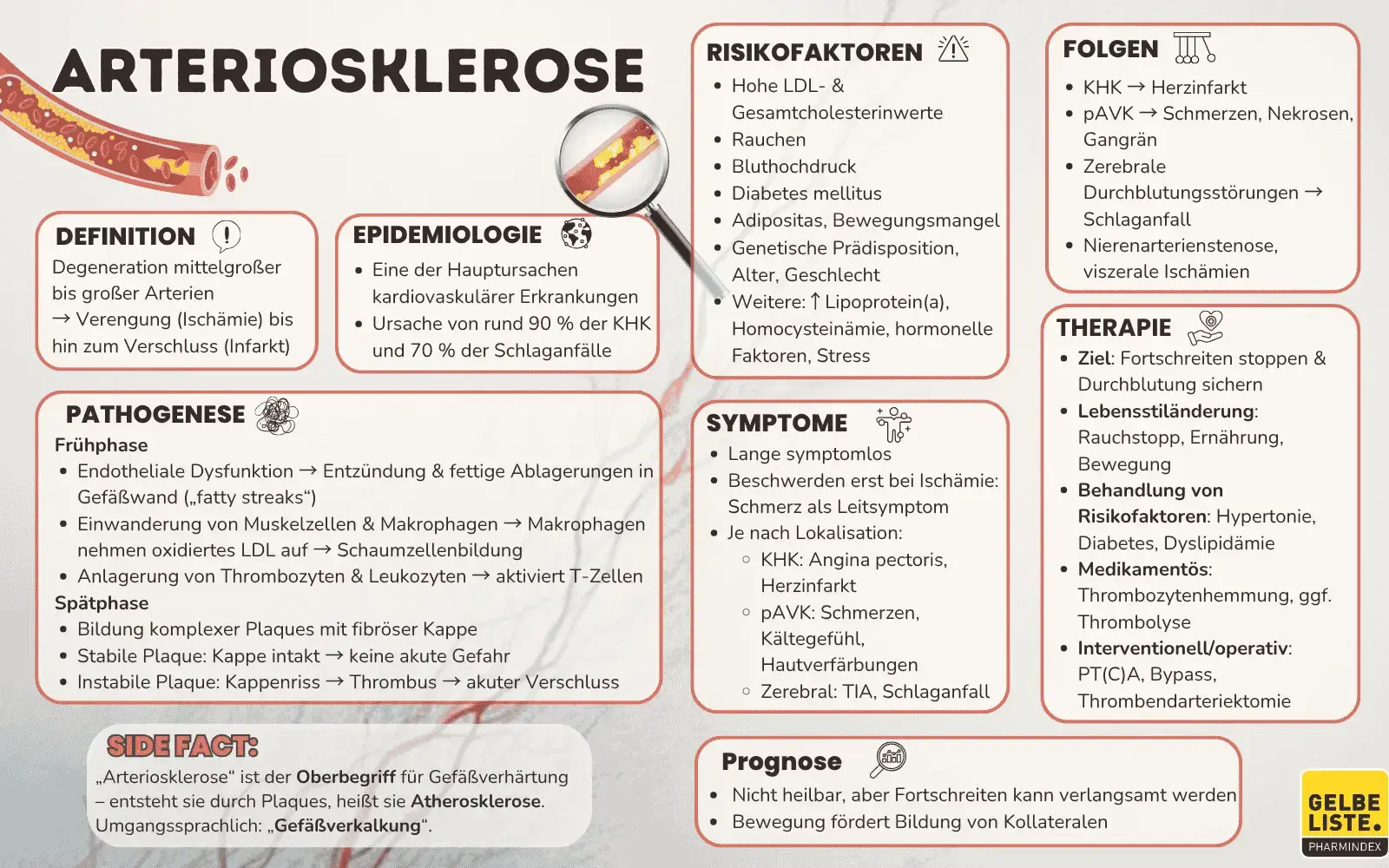 Arteriosklerose Kompakt | Gelbe Liste