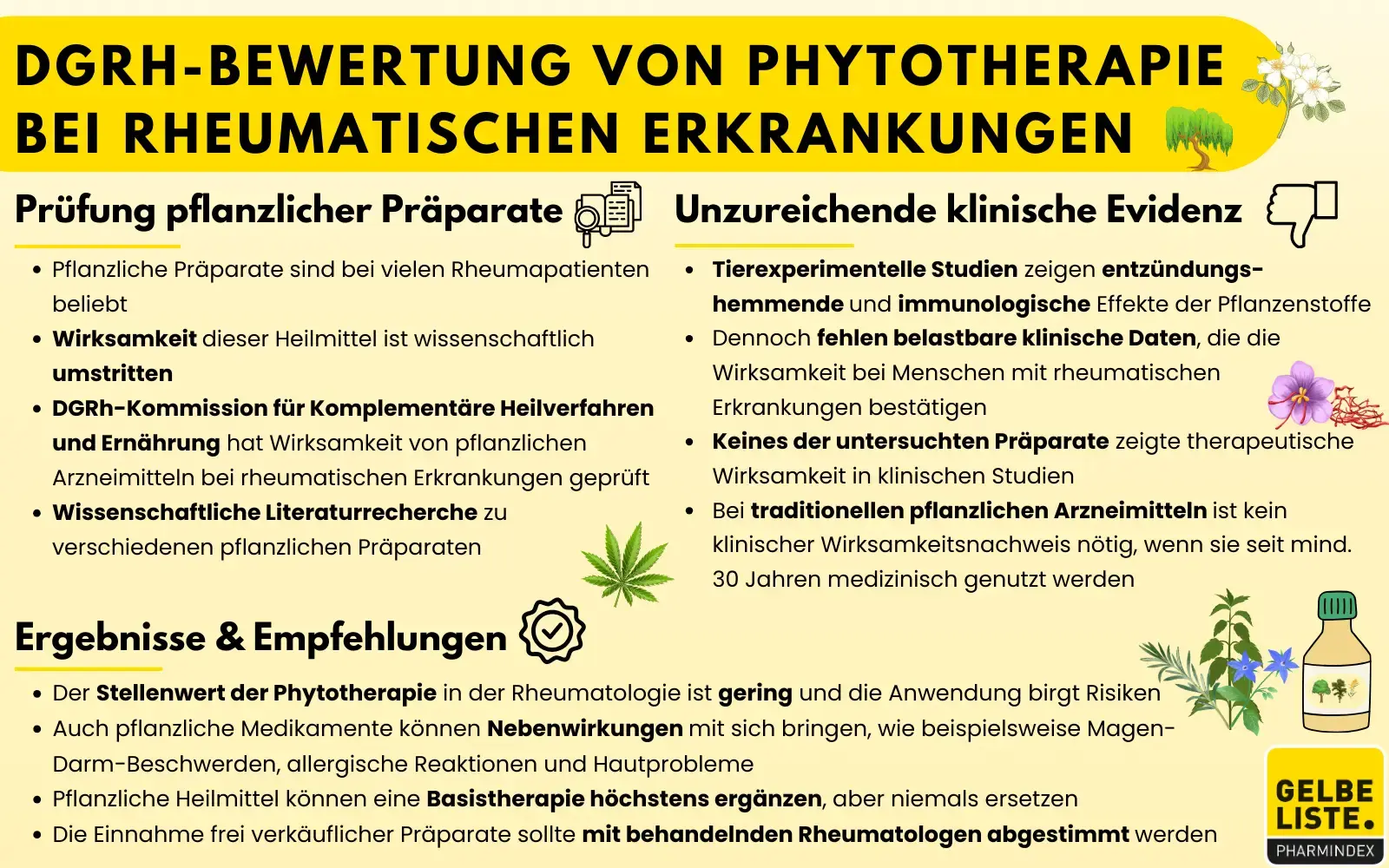 Kompakt: DGRh-Bewertung von Phytotherapie bei rheumatischen ...