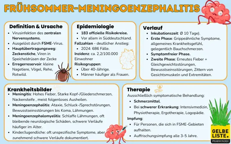 FSME Kompakt | Gelbe Liste
