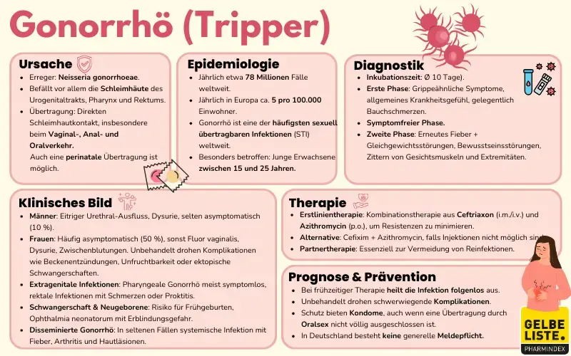 Gonorrhö (Tripper) Kompakt | Gelbe Liste