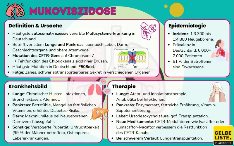 Mukoviszidose Kompakt | Gelbe Liste