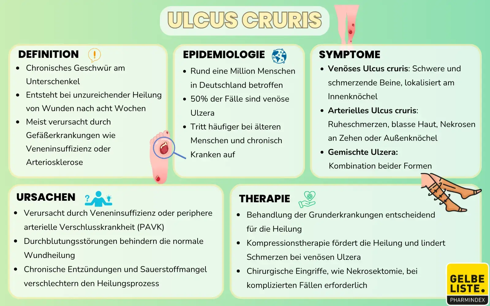Ulcus cruris Kompakt | Gelbe Liste