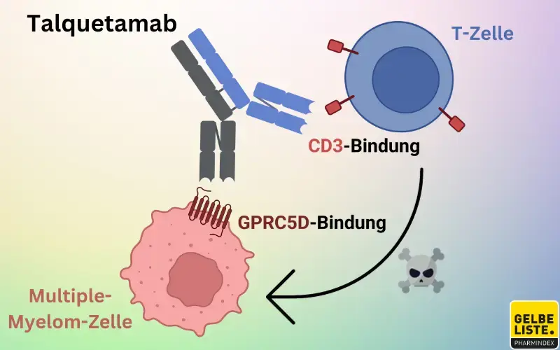 Talquetamab - Anwendung, Wirkung, Nebenwirkungen | Gelbe Liste