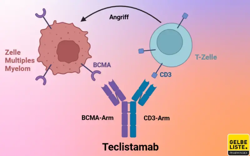 Teclistamab - Anwendung, Wirkung, Nebenwirkungen | Gelbe Liste